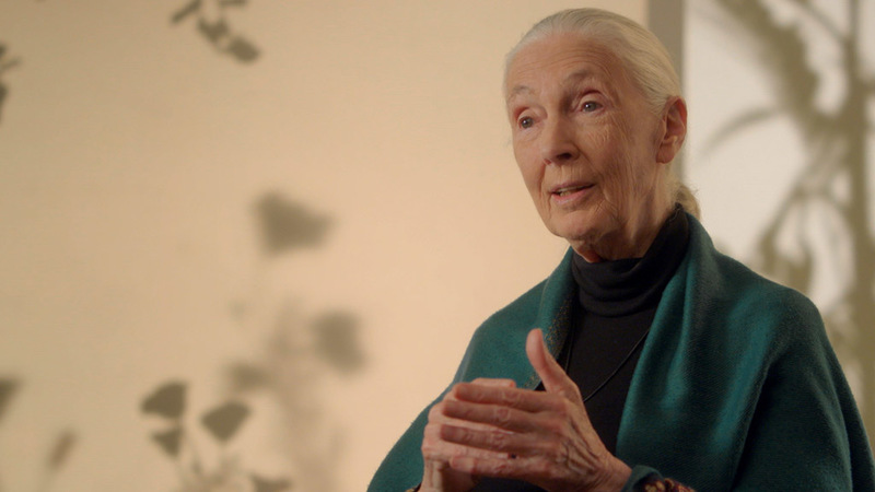 Food As Activism | Dr. Jane Goodall Teaches Conservation | MasterClass