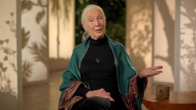 Roots & Shoots | Dr. Jane Goodall Teaches Conservation | MasterClass